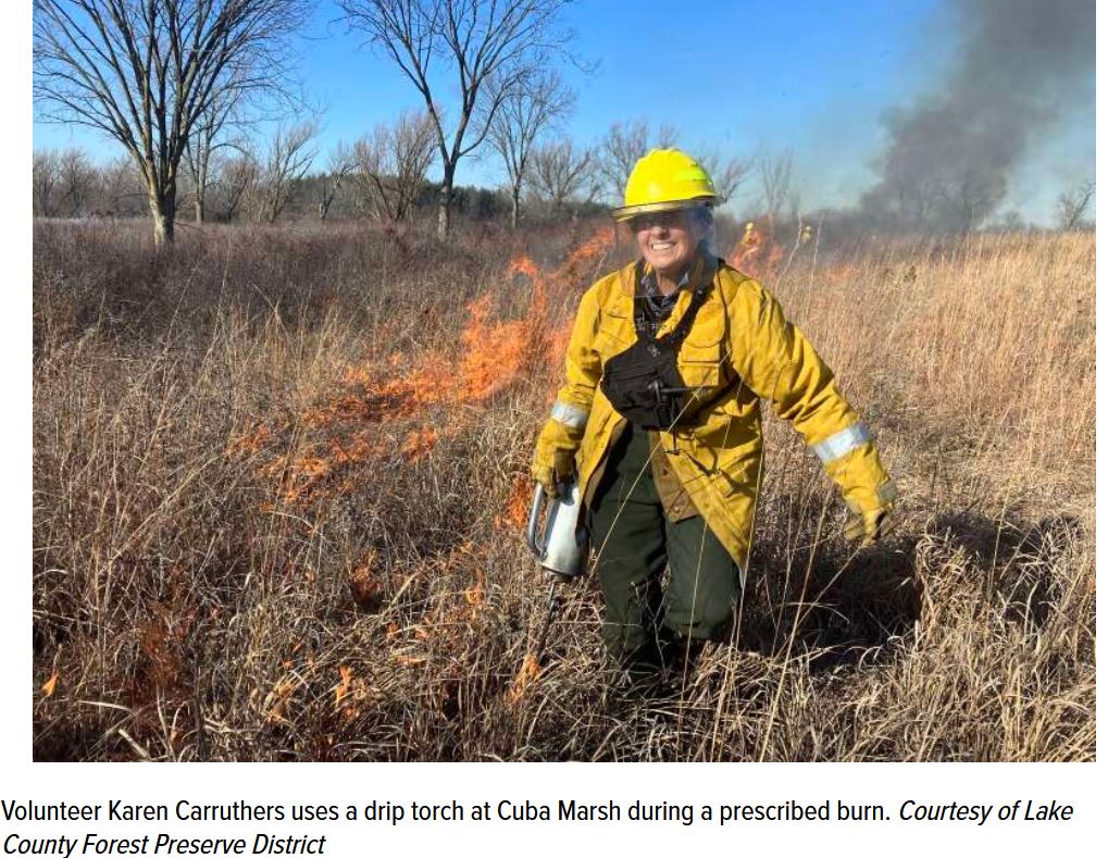 Why forest preserves are conducting more controlled burns | The ...