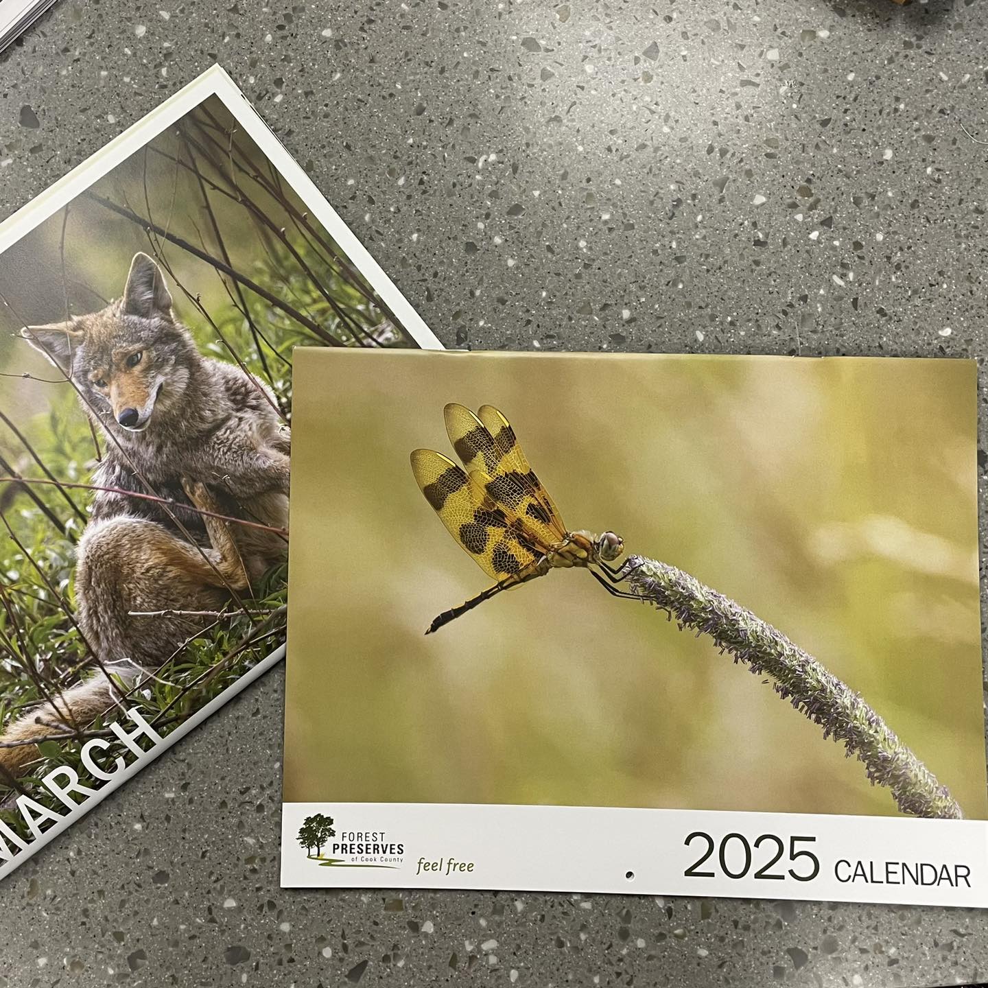 2025 Forest Preserves calendars available | The Barrington Hills Observer