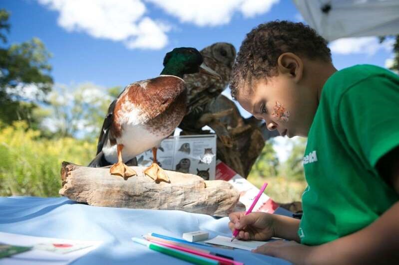 Crabtree Nature Center in Barrington hosting annual Art in Nature ...